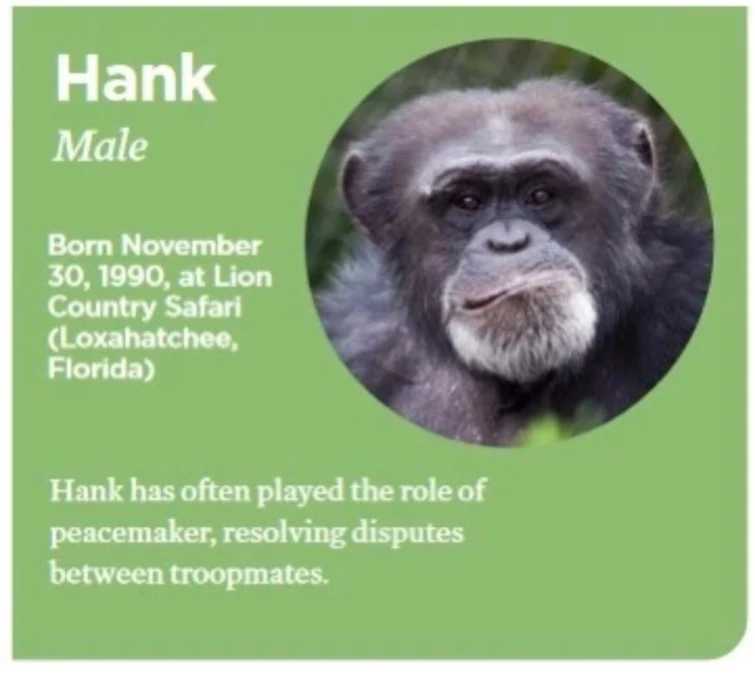 Ranking Everything again: the battle for h tier | Fandom