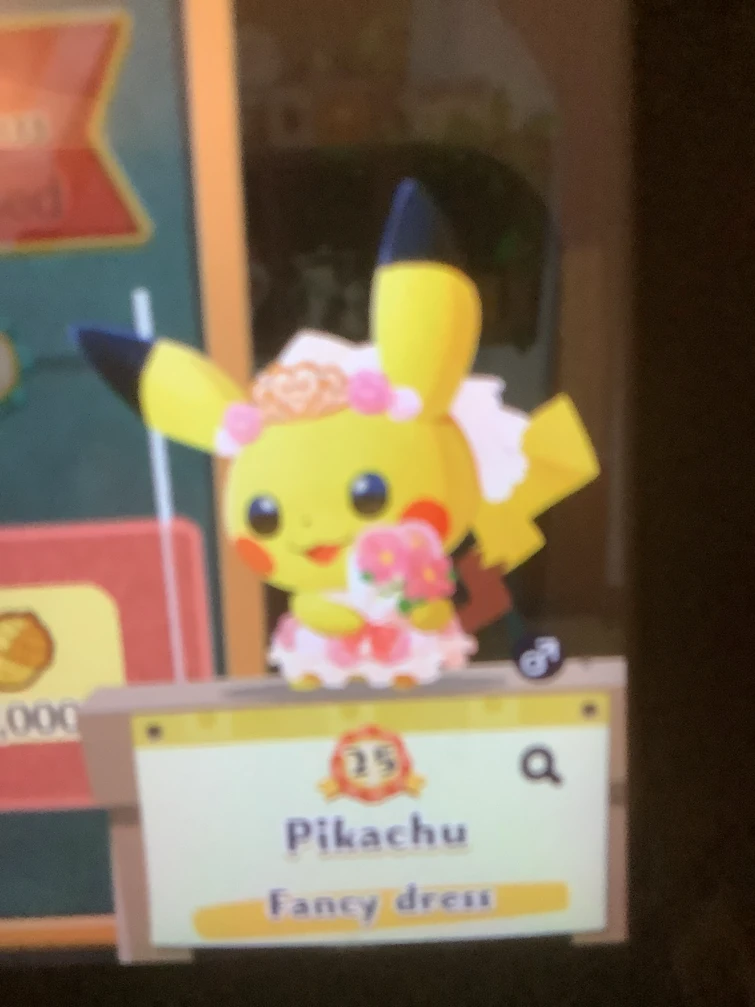 Pikachu in a wedding dress | Fandom