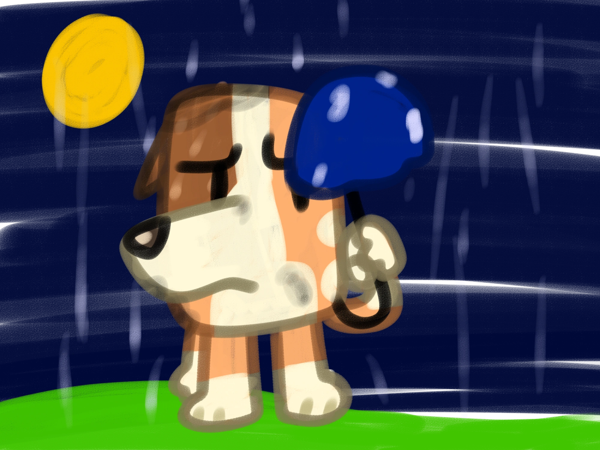 Chilli in the rain. | Fandom