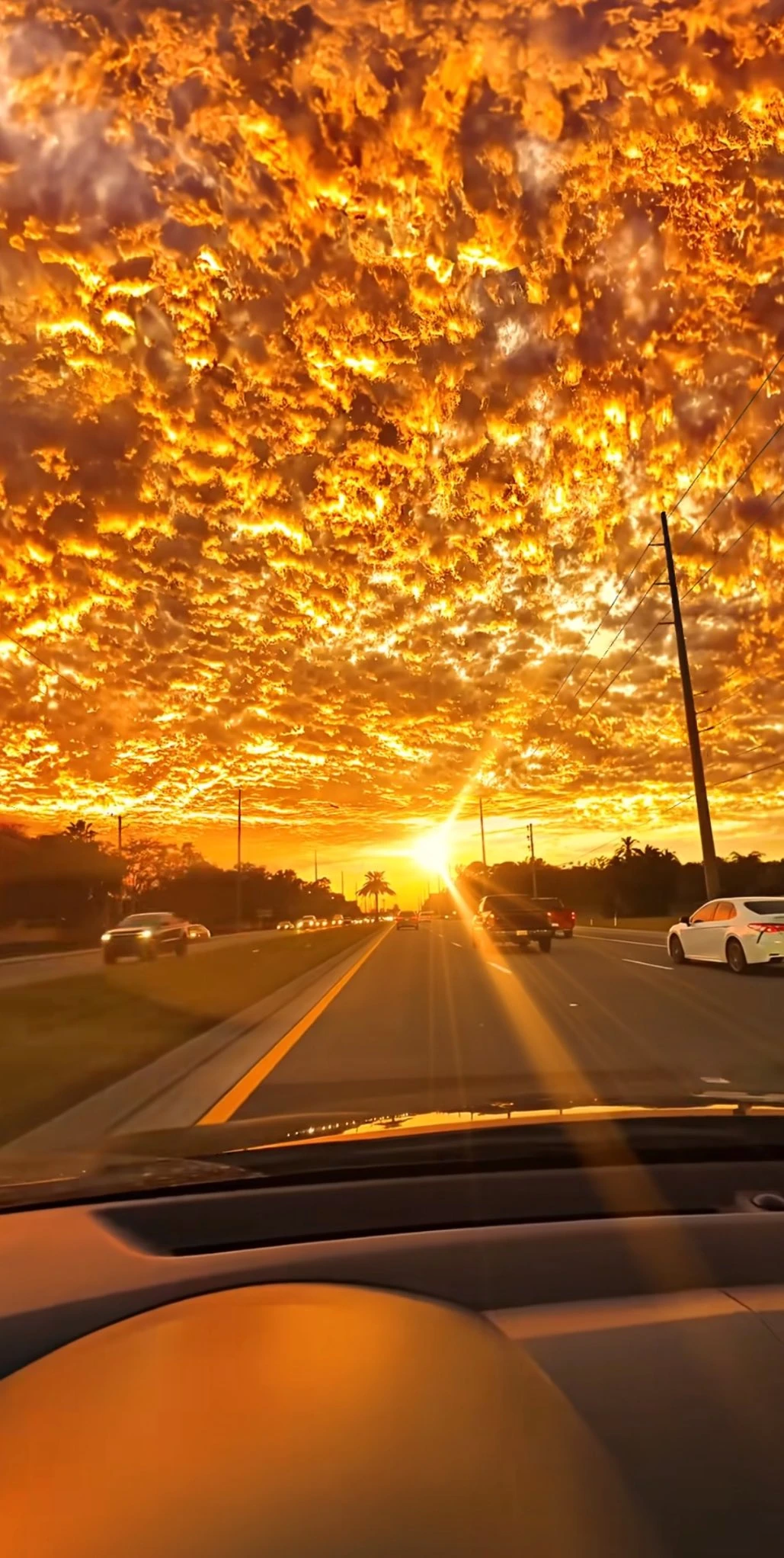 Mmmm toasty | Fandom