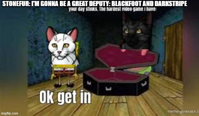 Warrior cats meme | Fandom