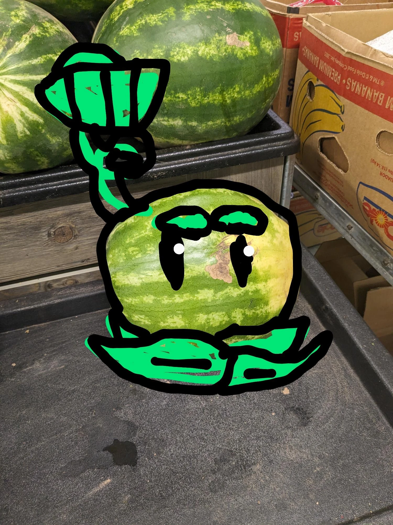 melon pult irl | Fandom