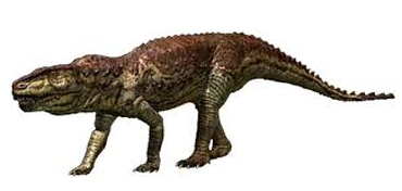 What should the pattern of the postosuchus be patterned like in the ...