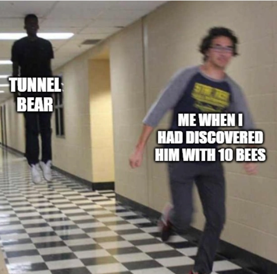 another meme | Fandom