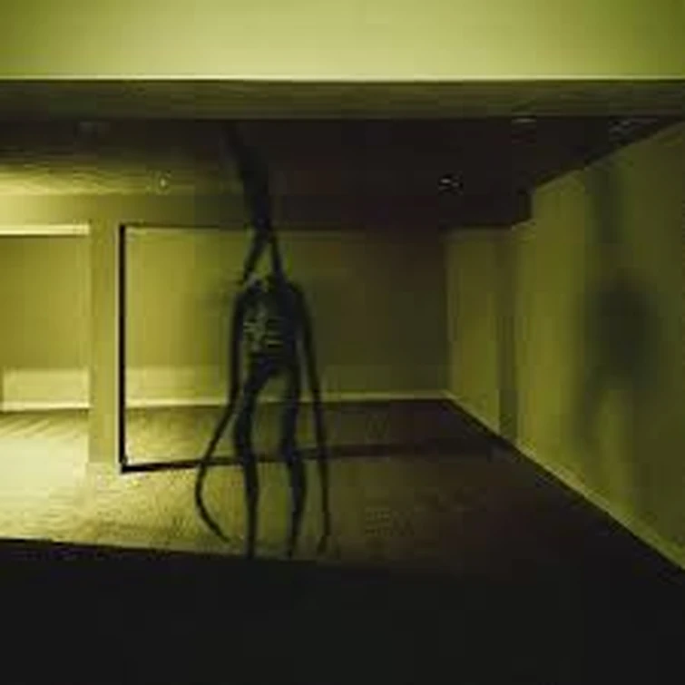 Should i make a fictional backrooms level referencing Butcher's Vanity ...
