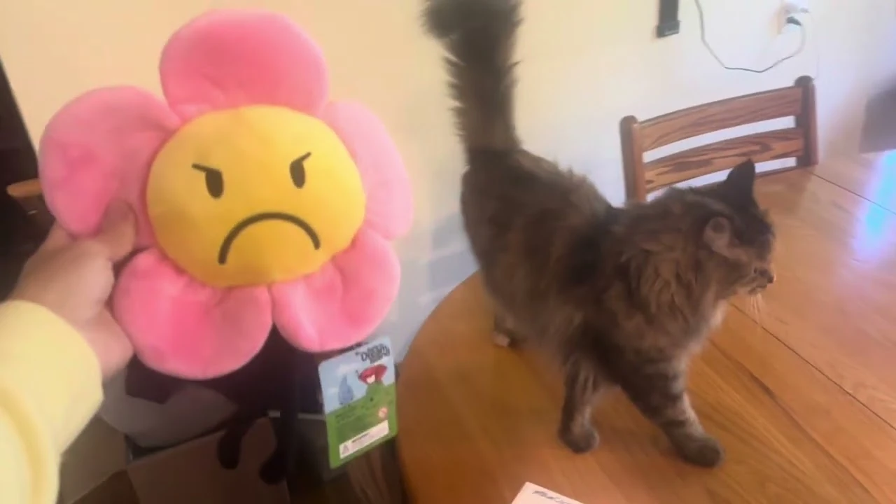 Why is Flower called "Flower"? | Fandom