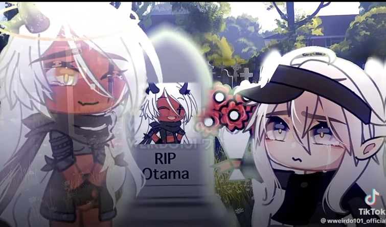 Fly High Otama. | Fandom