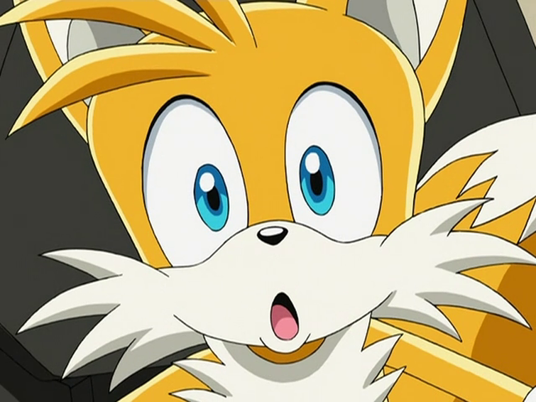 Fox With Surprised Face | Fandom
