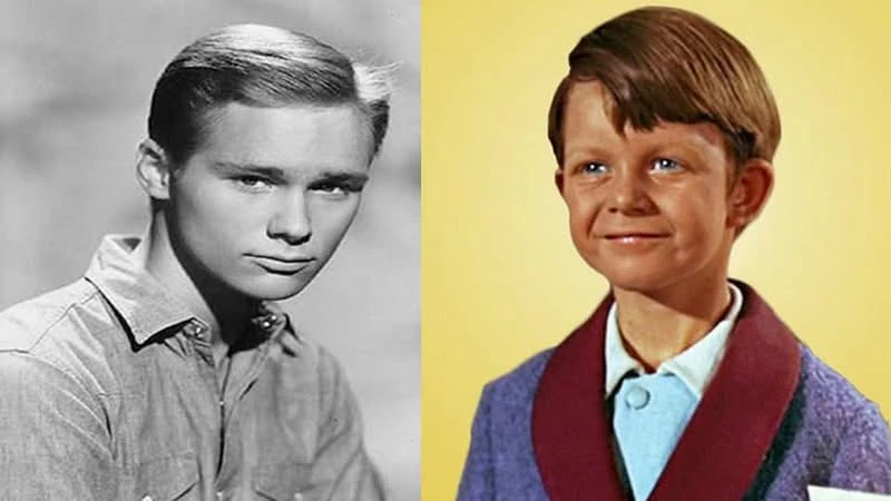 🕊️🎂 Happy Heavenly Birthday to Matthew Garber 🎂🕊️ | Fandom