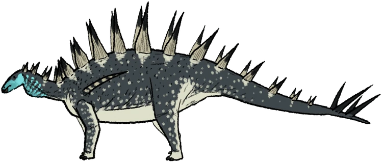 Which stegosaur do you wanna use for your PFP? | Fandom