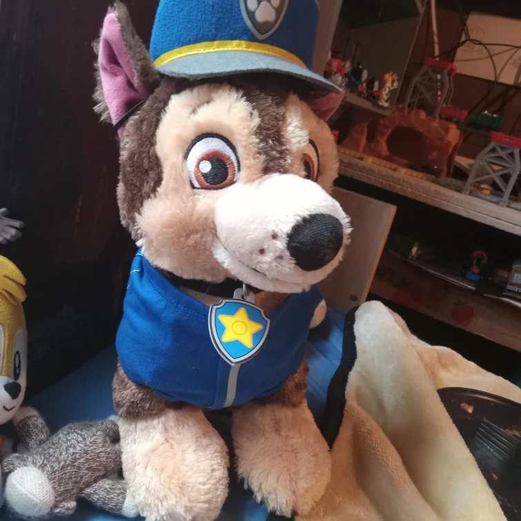 Build a Bear Chase | Fandom