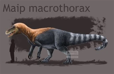 Is Indominus more similar to a Megaraptoran or Carcharadontosaurid in ...