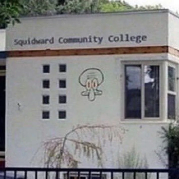 Pack your bags, boys. We are moving to Squidward Community College ...