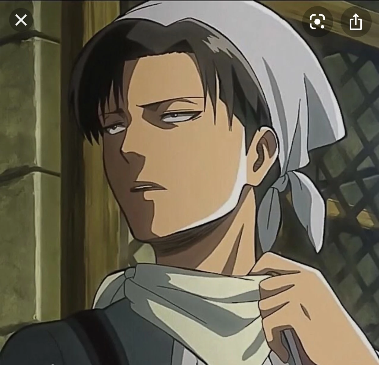 Levi Levi and levi | Fandom