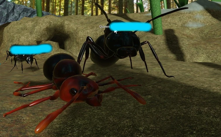 Discuss Everything About Ant Life Wiki | Fandom