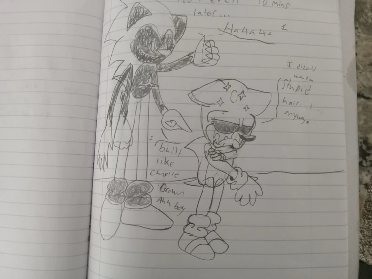 Discuss Everything About CONTINUED: The Sonic Oddities Wiki | Fandom