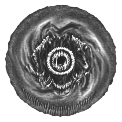 Can someone remake one of my entitiy designs? | Fandom