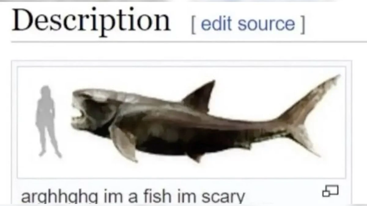 im free from the editing my page shackles | Fandom