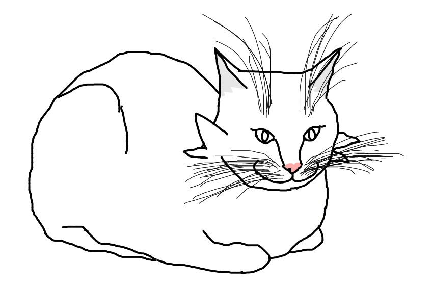 Wenda loaf /silly | Fandom