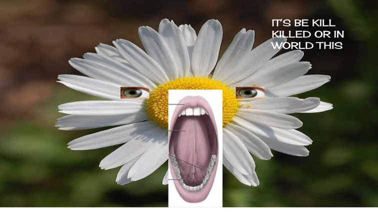 Discuss Everything About Undertale Wiki | Fandom