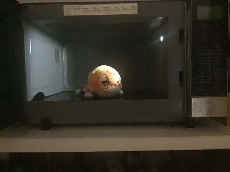 Send me suggestions for pictures to take with Tsukasa neso | Fandom