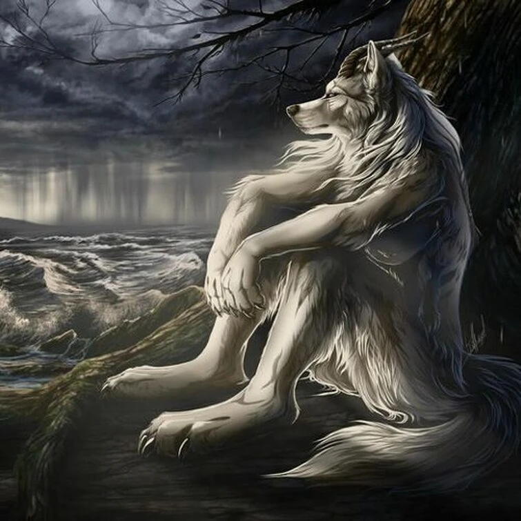 Yet another rant | Fandom