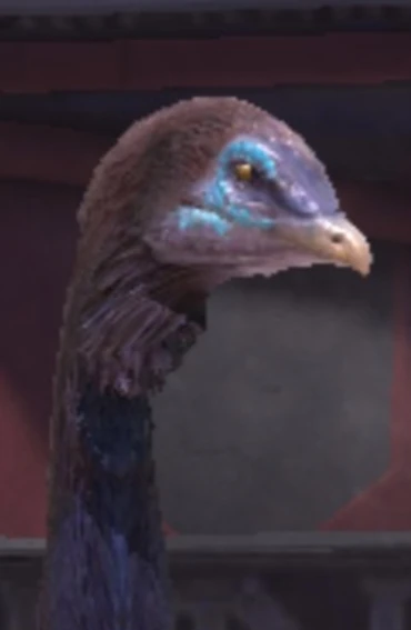 Corvurax is precious | Fandom