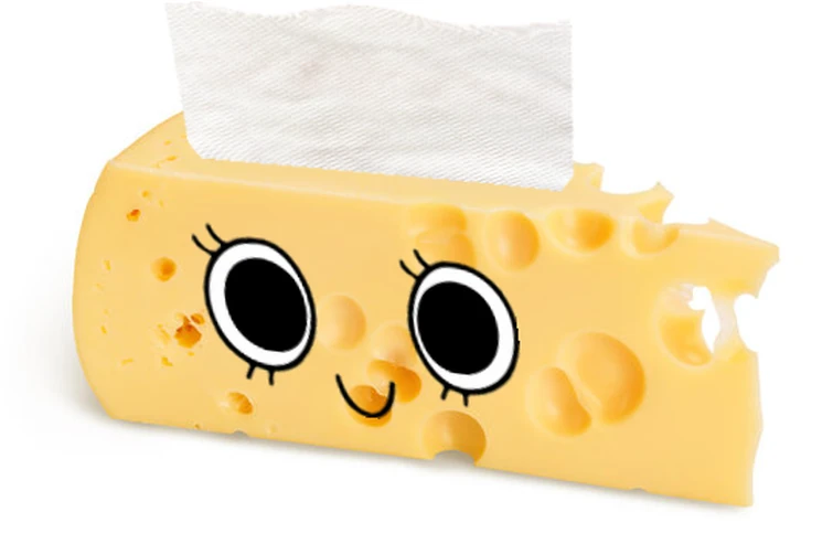 i accidentally called tisha cheesa and this is what it came up in my ...