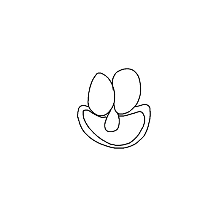 How to Draw the Noise | Fandom