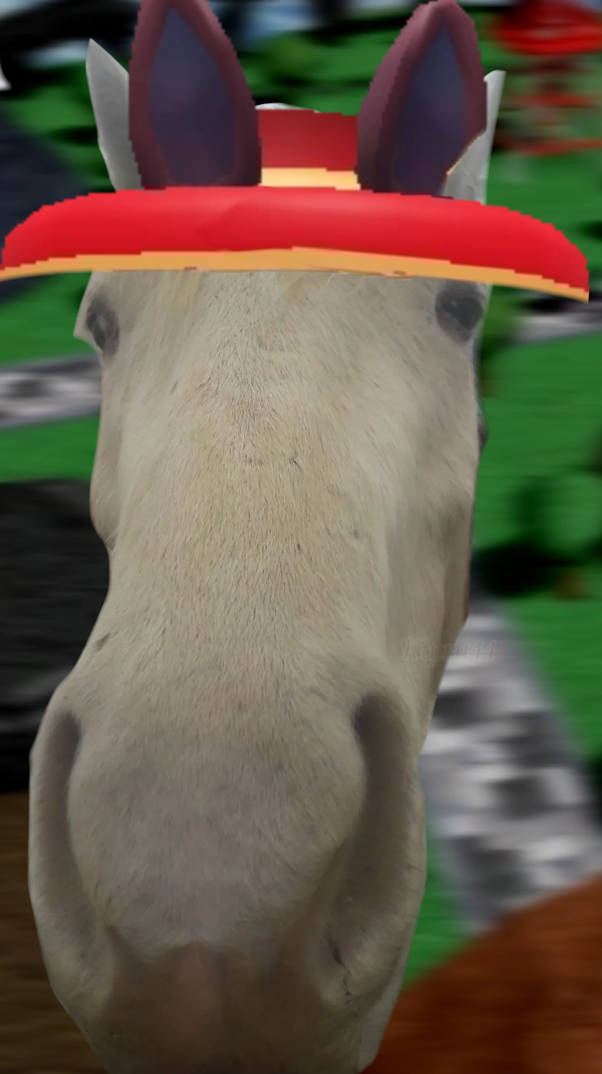 Honse Skin is Peam | Fandom