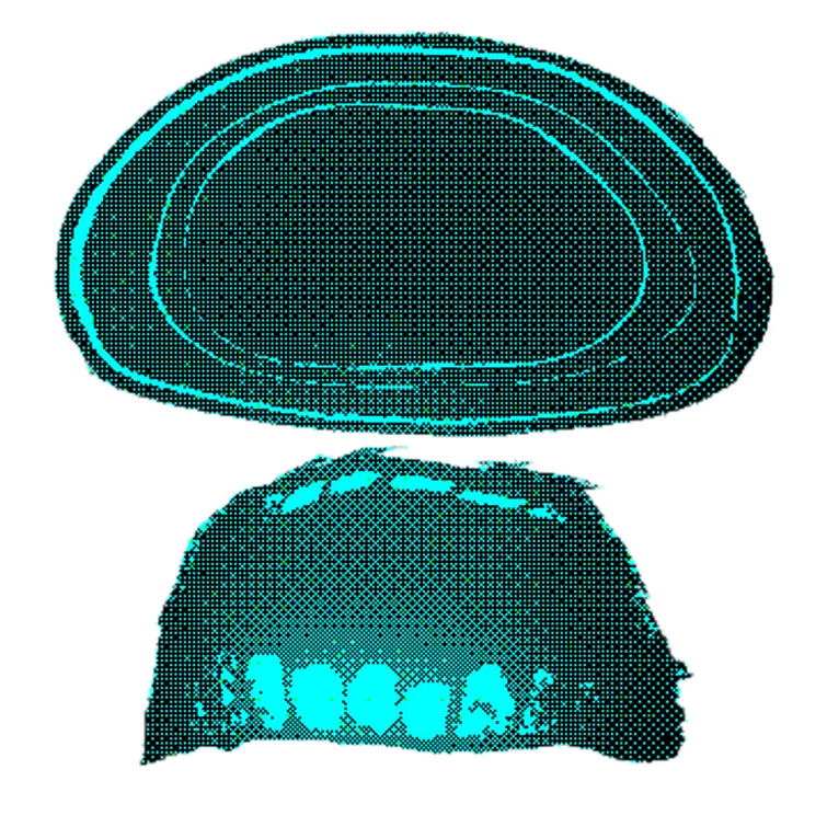 Ass G-235 variants I made cuz I was bored | Fandom
