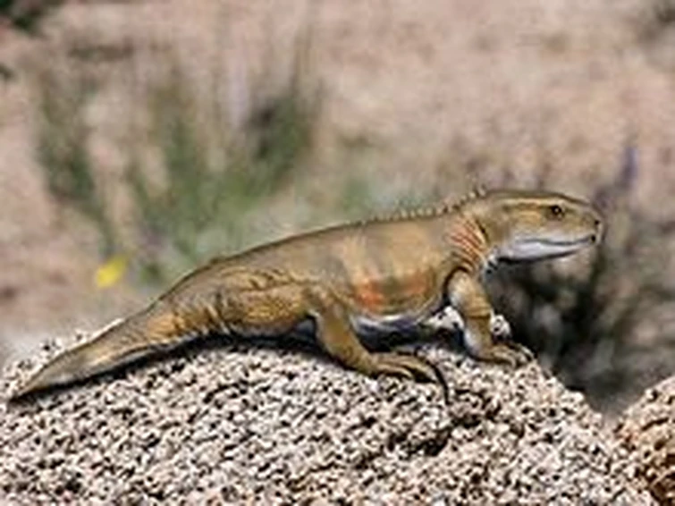 Discuss Everything About Dinopedia | Fandom