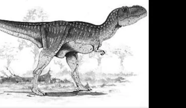 Who do you like more? - Ceratosauria Tournament - Elimination round - 8 ...