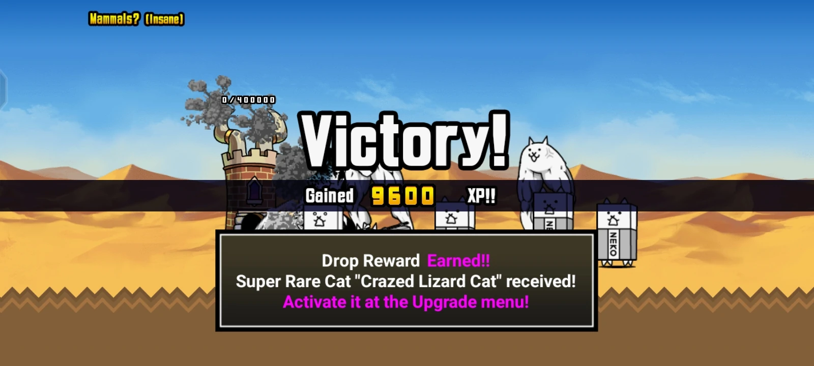 I got crazed lizard cat | Fandom