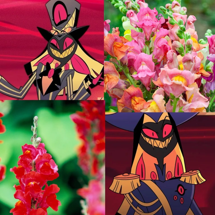 I asked ChatGPT to find Hazbin Hotel Character’s flower counterparts ...
