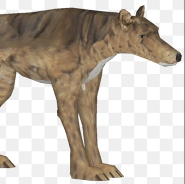 Discuss Everything About Dinopedia | Fandom