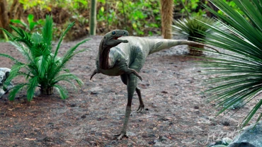 Discuss Everything About Dinopedia | Fandom