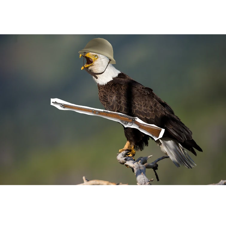 corvid | Fandom