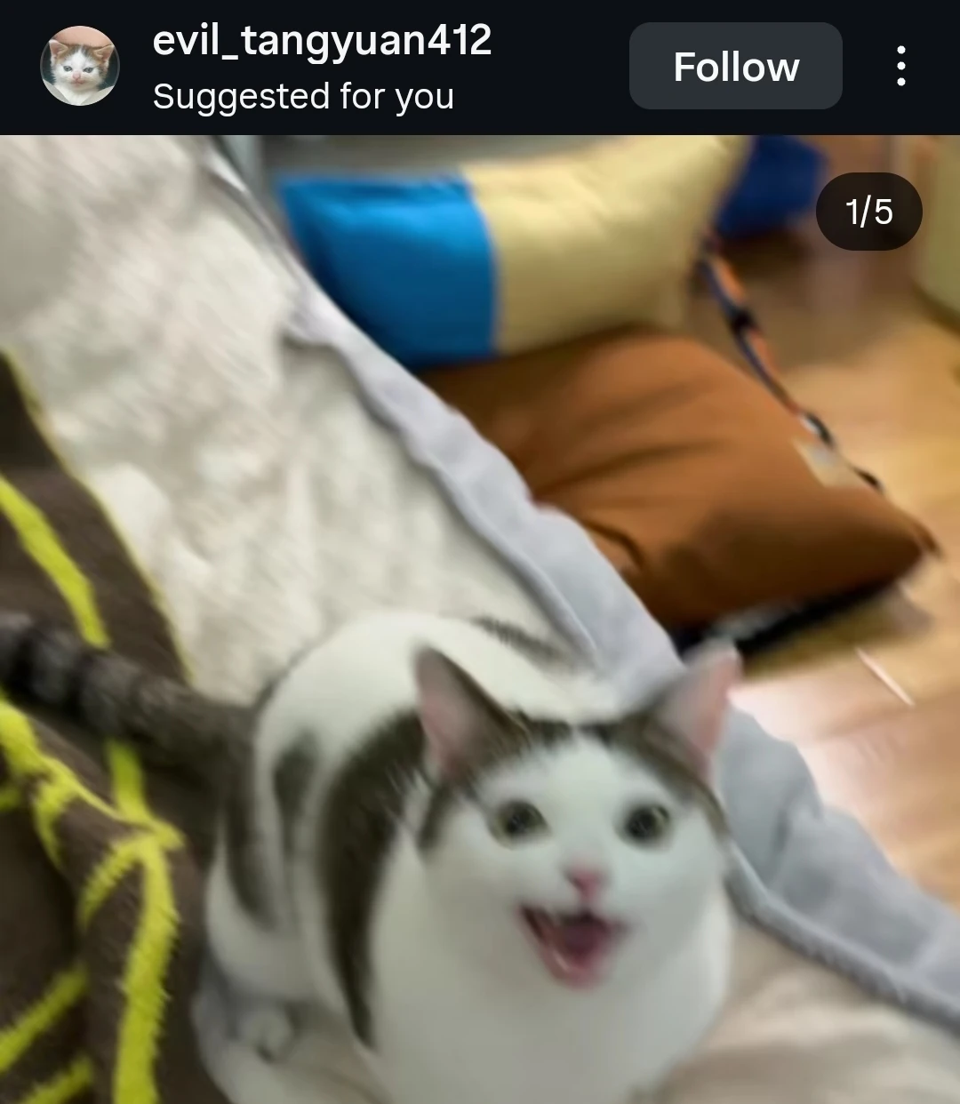 Evil Tang Yuan >;) | Fandom