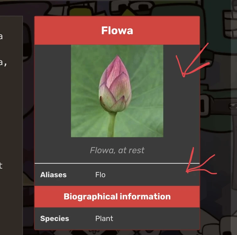 Coloring info box | Fandom