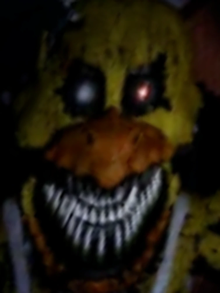 Jarredmemes Weird Icon Pack | Fandom