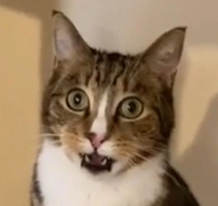 i am in 2023 | Fandom