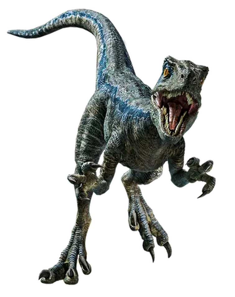 Velociraptor VS Stegosaurus, WHO WILL MOVE ON! | Fandom