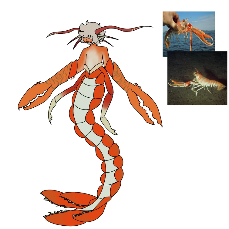 Weirdcore Cat adopts | Fandom