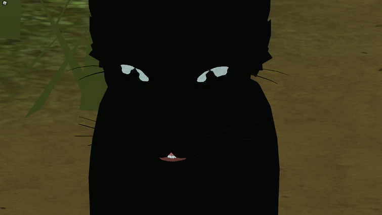 Discuss Everything About Npc Wcue Wiki | Fandom