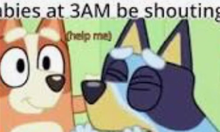 Day 25 of Bluey memes I have saved on my PC | Fandom