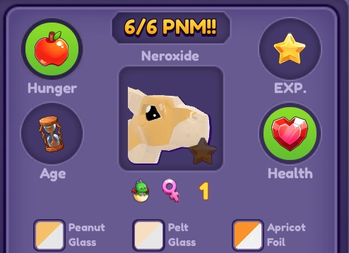 PNM NEROXIDE HEADING YOUR WAY! | Fandom