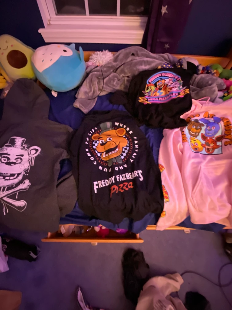 just went fnaf merch hunting, heres what i got | Fandom