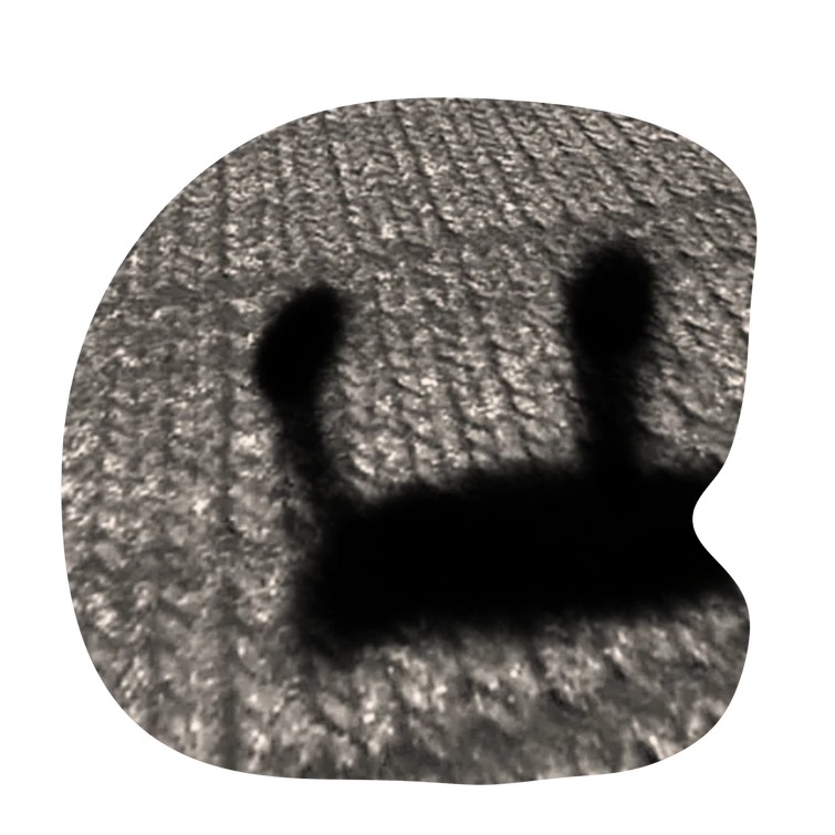 Whitey admin skin for FBG | Fandom