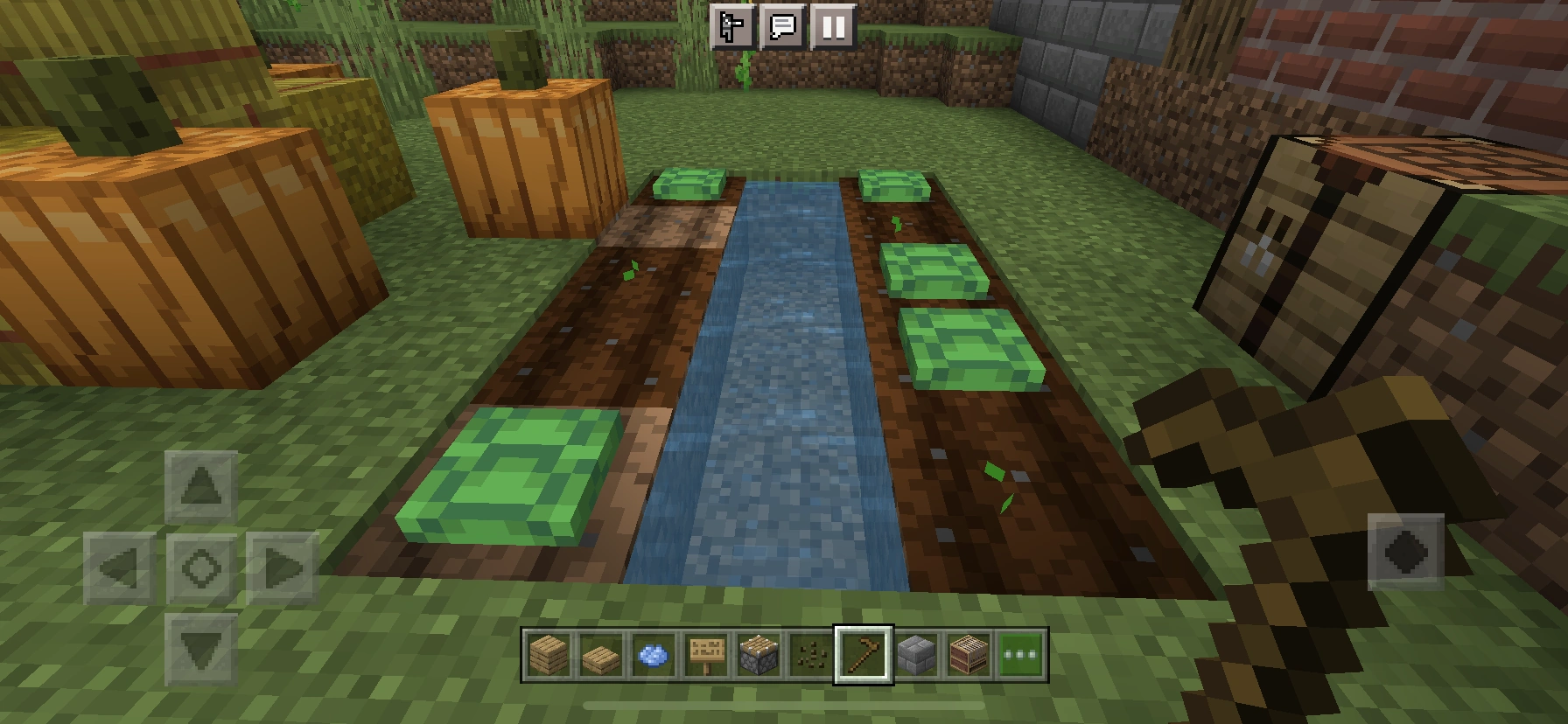 Growing cabbages in Minecraft?! | Fandom